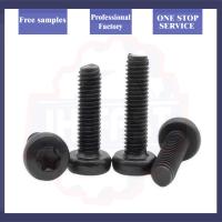 China M2.5 M3 M4 M5 M6 M8 Pan Head Torx Nylon Patch Locking Screws Metric Carbon Steel Stainless Steel for sale