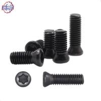 China ISO9001 2015 Certified Metric CNC Cutter Shank Torx Machine Screw Cutting Tool for sale