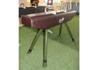 China Gymnastic Gym Vaulting Pommel Horse Goat Box Trainer For Exercise for sale