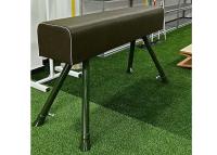 China Popular Competition Standard Gym Vaulting Horse For Training Needs for sale
