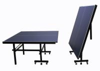 China Folding Table Tennis Table For Indoor And Outdoor for sale