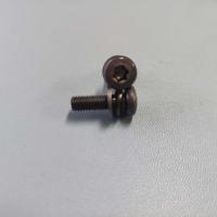 China Torx Head M5x16 Combination Screw Bolt ST 8.8 Carbon Steel Stainless Steel for sale