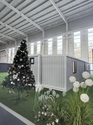 China 40ft Expandable Container Home with Galvanized Steel Frame for sale