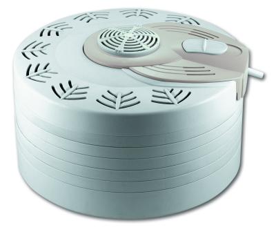 China 400W Food Dehydrator for Banana Chips Mango Fruit Vegetable Drying Machine for sale