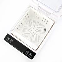 China Industrial Fruit Vegetable Washing Machine 500W 120V TFT Touch Bubble Cleaner for Pesticide Residue for sale