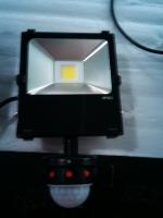 China Led Flood Lights 30w 50w Motion Sensor Bridgelux chips inside for sale