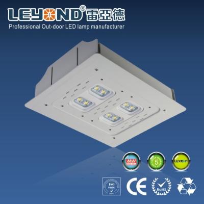China Chips Led Canopy Lights Meanwell Driver Exterior Canopy Lighting for sale
