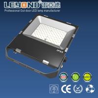 China Dimmable Bridgelux 45Mil Waterproof LED Flood Lights100w Outdoor Led Garden Flood Lights for sale