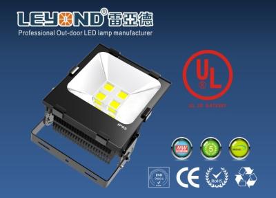 China 120LM/W Outdoor LED Flood Lights Bridgelux Chip COB 5 Years Warranty UL for sale