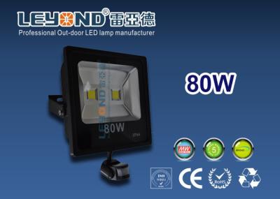 China 100 Lm / W Outdoor Led Flood Lights Auto Lighting Led Outside Flood Lights for sale