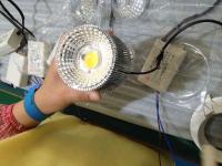 China 2700k 3000k LED DownLight for sale