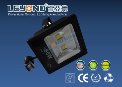 China Aluminum Black High Power PIR Led Flood Light Outdoor With Sensor for sale