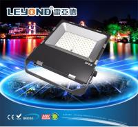 China Factory Price IP66 Waterproof LED Flood Lights SMD LED 100W CE RoHS approved Led Flood light for sale