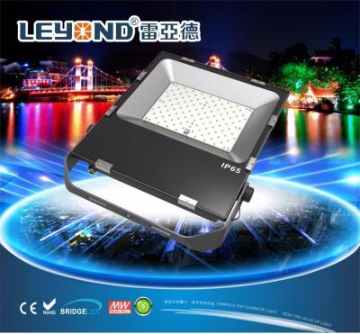 China Factory Price IP66 Waterproof LED Flood Lights SMD LED 100W CE RoHS approved Led Flood light for sale