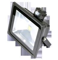 China Led Flood Lights 30w 50w Motion Sensor Bridgelux chips inside for sale
