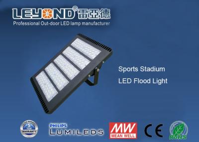 China High Lumen Black Color 160lm / W Waterproof Led Flood Lights For Football Playground for sale