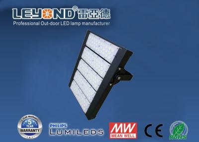 China 250W Waterproof LED Flood Lights For Football Playground Outdoor Lighting Project hot selling for sale