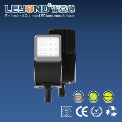 China 160lm / W IP65 Outdoor Street Lamps Meanwell ELG Green Environmental Protection for sale