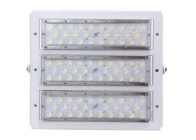 China RGB Outdoor LED Flood Lights Meanwell Driver Lumileds 5050 IP66 100 Watt TBD for sale