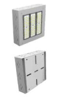 China 100/150/200w Canopy Led Lights IP66 IK10 Surface Mounted For Gas Station Lighting for sale