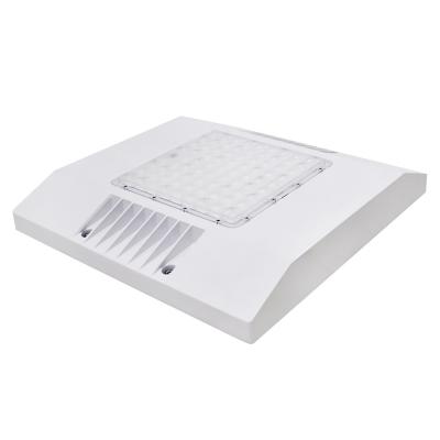 China Outdoor 85 DEG 24000lm LED Canopy Lights Die Casting Aluminium for sale