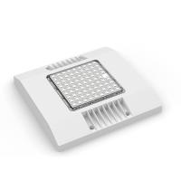 China Explosion Proof IP66 IK10 Lumileds 5050 Gas Station Light 50w 100w 120w for sale