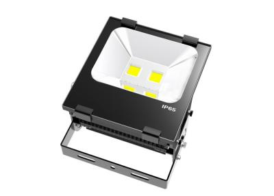 China CRI 70 100W IP65  Garden / Landscape Outdoor LED Flood Lights CE / RoHs for sale