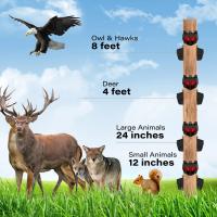 China 50-100 Square Meters Coverage Solar Battery Operated Eco Friendly Wild Pig Repeller for sale