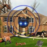China Solar Powered Red LED Lights Cockroach Trap and Raccoon Deterrent for Home Perimeter for sale