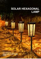 China Waterproof Solar Powered Garden Lights Auto On-Off for Yard Walkway Decorative Garden for sale