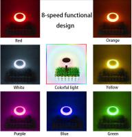 China Solar Powered Landscape Light for Colorful Outdoor Decorative Lighting in Garden Villa for sale
