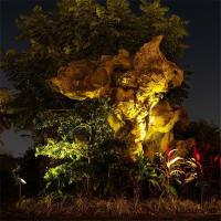 China High Color Rendering Index Ra 80 Solar Lights for Outdoor Garden Landscaping Decorative for sale