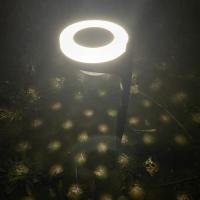 China 1.2V LED Solar Ground Pathway Decor Lights for Garden Walkway Backyard Lawn Landscape for sale