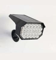 China Lamp Luminous Flux of 100lm Solar Spotlight for Pathway Courtyard Landscape for sale