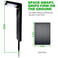 China IP65 Waterproof Solar Energy Light for Outdoor Lighting and Beautiful Decoration for sale