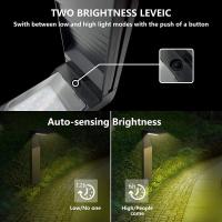 China IP65 Waterproof Solar Energy Light for Outdoor Lighting and Beautiful Decoration for sale