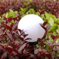 China 2700K Soft Warm White Solar Ball Lights Waterproof for Outdoor Pathway Garden Patio for sale