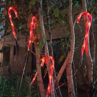 China Outdoor Solar LED Lights Christmas Candy Cane Lights for Other Christmas Decorations for sale