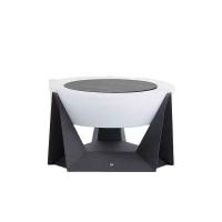 China Outdoor Solar LED Light for Garden Decoration Waterproof IP65 Landscape Light 85lm/w for sale