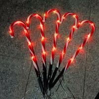 China 50000 Hour Working Lifetime Solar Plastic LED Light for Customized Color Design Decor for sale