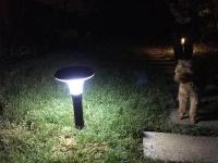China 50000 Hours Working Time 180° Beam Angle Led Solar Garden Light For Landscape Lighting for sale