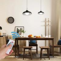 China IP65 Rated Solar Garden Light with High Capacity Battery and Warm Cold White LED Lamp for sale