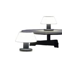 China 80 Ra Color Rendering Index Solar Courtyard Night Lamp for Dining and Bar Atmosphere for sale