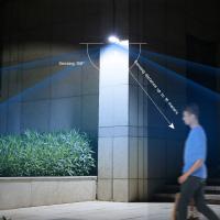 China Color Temperature CCT Warm Light 3000K LED Garden Lights Outdoor Solar Pathway Light for sale