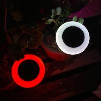 China 10000 Hour Working Time Solar RGB Lawn Landscape Lighting for Outdoor Yard Decoration for sale
