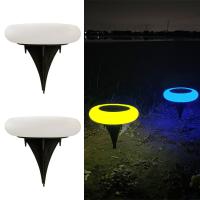 China 10000 Hour Working Time Solar RGB Lawn Landscape Lighting for Outdoor Yard Decoration for sale