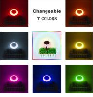 China 10000 Hour Working Time Solar RGB Lawn Landscape Lighting for Outdoor Yard Decoration for sale