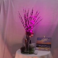 China 77cm Fashion LED Willow Branch Lamp for Wedding Holiday Party Christmas Tree Decoration for sale