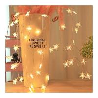 China Christmas Decorations 1KG Battery Operated Star Light String Fairy Lights for Festive for sale