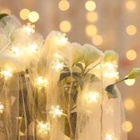 China Christmas Decorations 1KG Battery Operated Star Light String Fairy Lights for Festive for sale